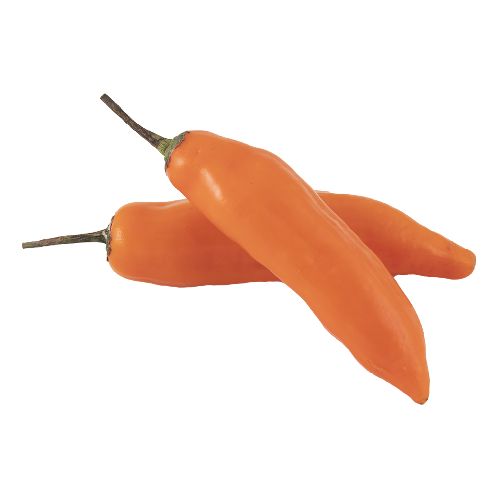 Productos | marketcircolo