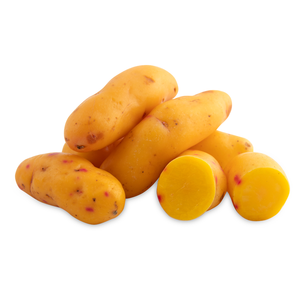 Verdura | marketcircolo